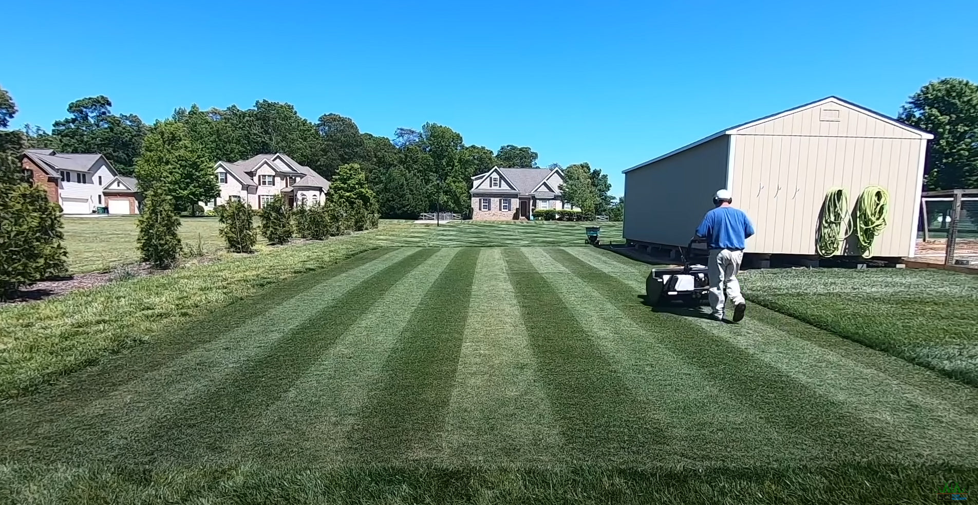 Types of Lawn Grasses in The USA – ALLETT Australia